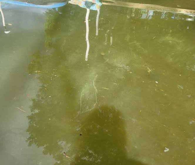 Lifted two weeks ago, the cyanobacteria bloom advisory for Baboosic ...